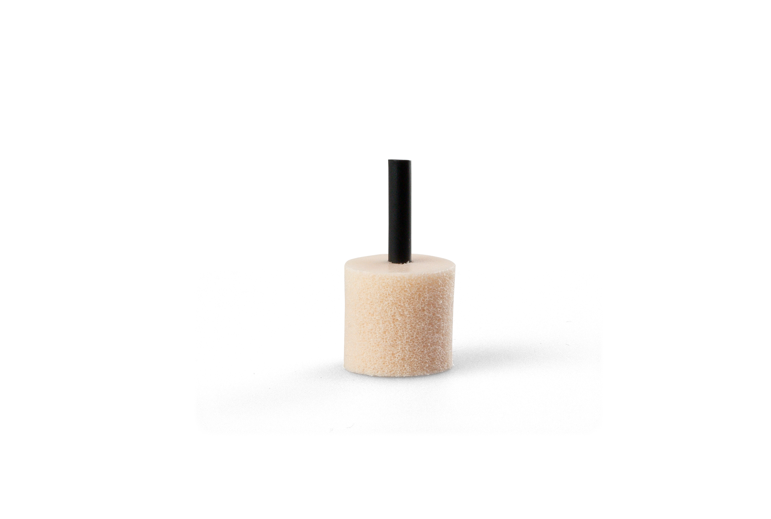 Product: Insert foam tips